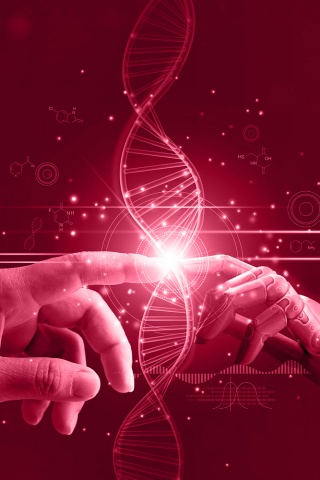 Rilsan tubes and pipes for industrial applications | Mebra Plastik